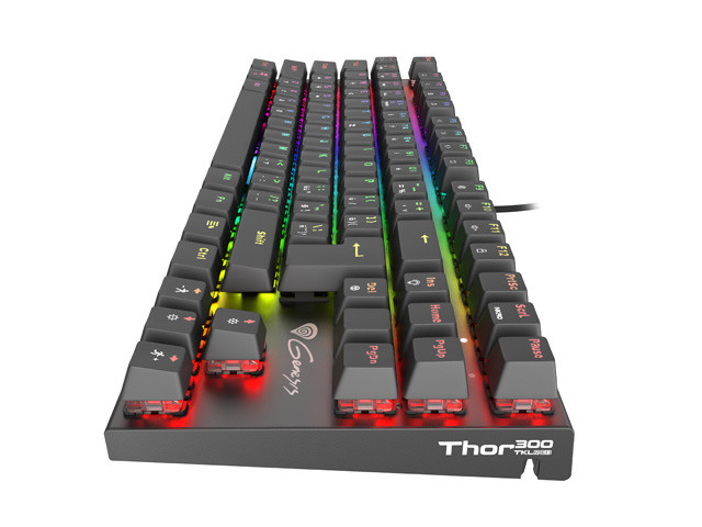 Genesis Gaming Mechanische Tastatur THOR 300/RGB/Outemu Rot/Wireless ...